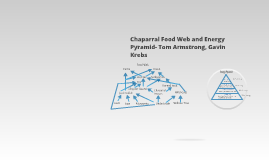 Chaparral Food Web and Energy Pyramid- Tom Armstrong, Gavin by T A on Prezi