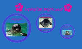 Operational Environment Brief by Catrina Rubi on Prezi