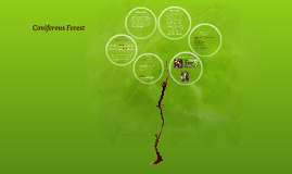 Food web/chain by Seahorse Swag on Prezi