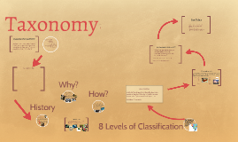 Binomial Nomenclature and Classification Keys by Lorin Atkins on Prezi