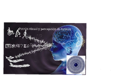 patrón visual y percepción de formas by katherine sanchez garzon on Prezi