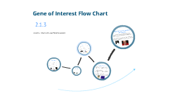 biomed flowchart by Andrew Marinich on Prezi