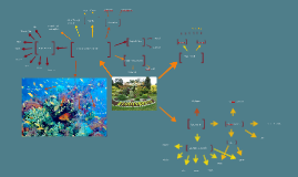 BIODIVERSITY Mind Map by harman dosanjh on Prezi