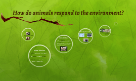 How do animals respond to the environment? by Julieta Bello on Prezi