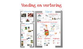 Anatomie & Fysiologie - Deel 2: Voeding en vertering by Pascal van de ...